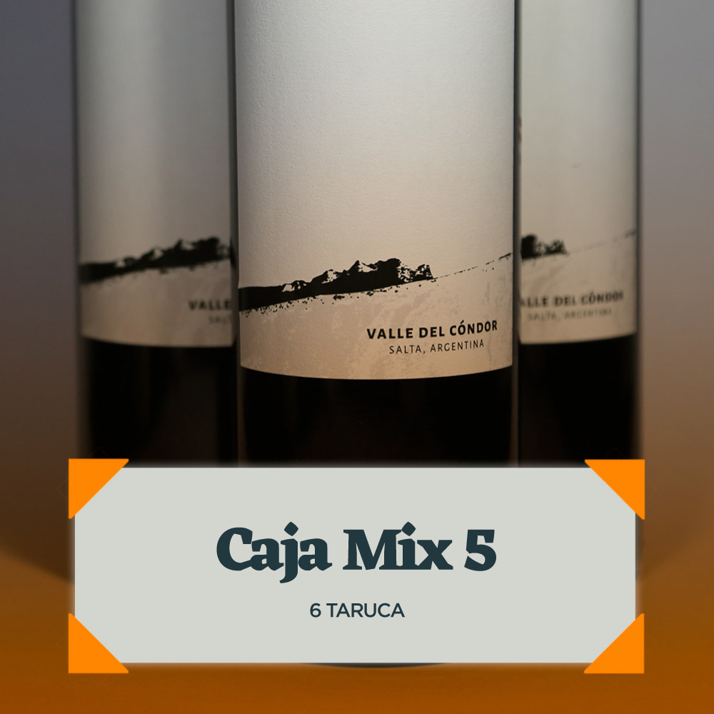 CAJA MIX 5 – Valle del Cóndor